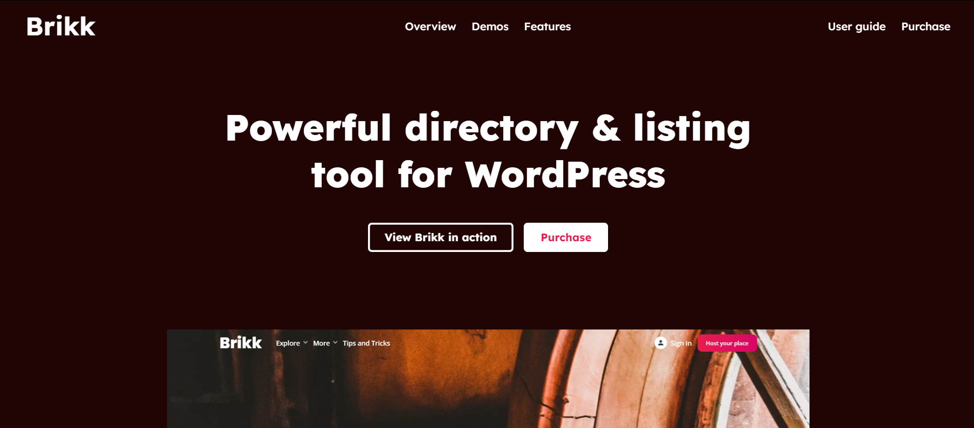 10+ Best Business Directory WordPress Themes