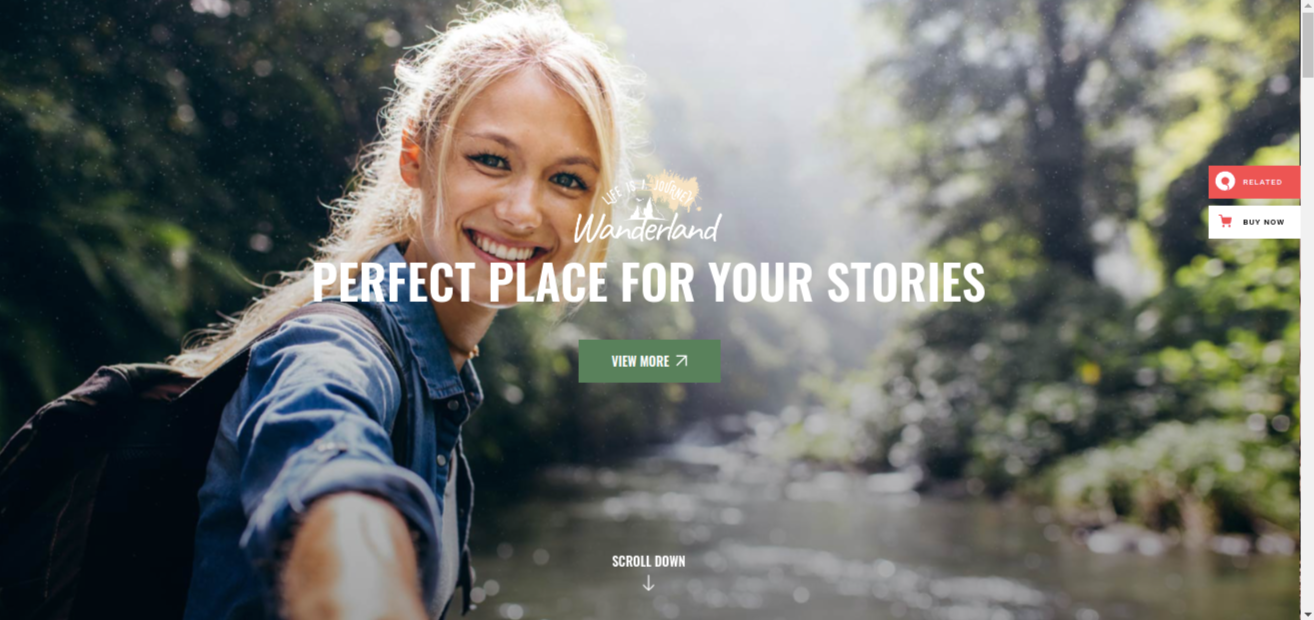 12 Best Travel Blog WordPress Themes - ThemesGrove