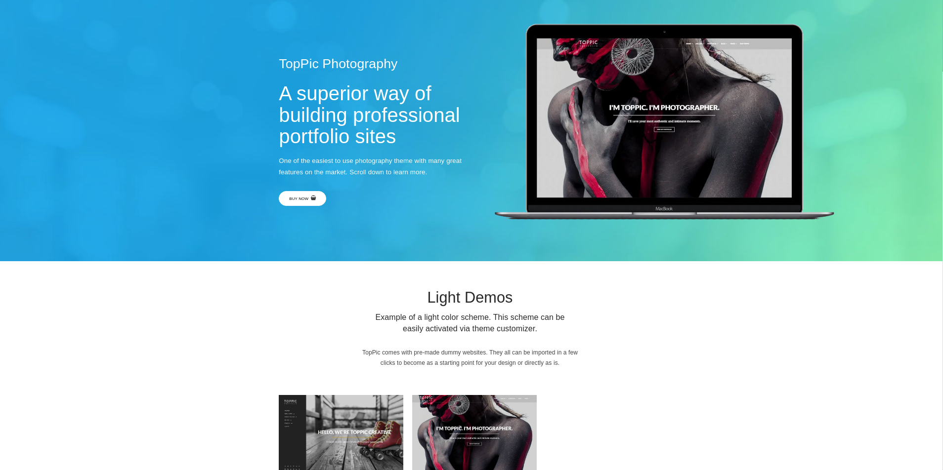 10 Best Photo Gallery WordPress Themes - ThemesGrove
